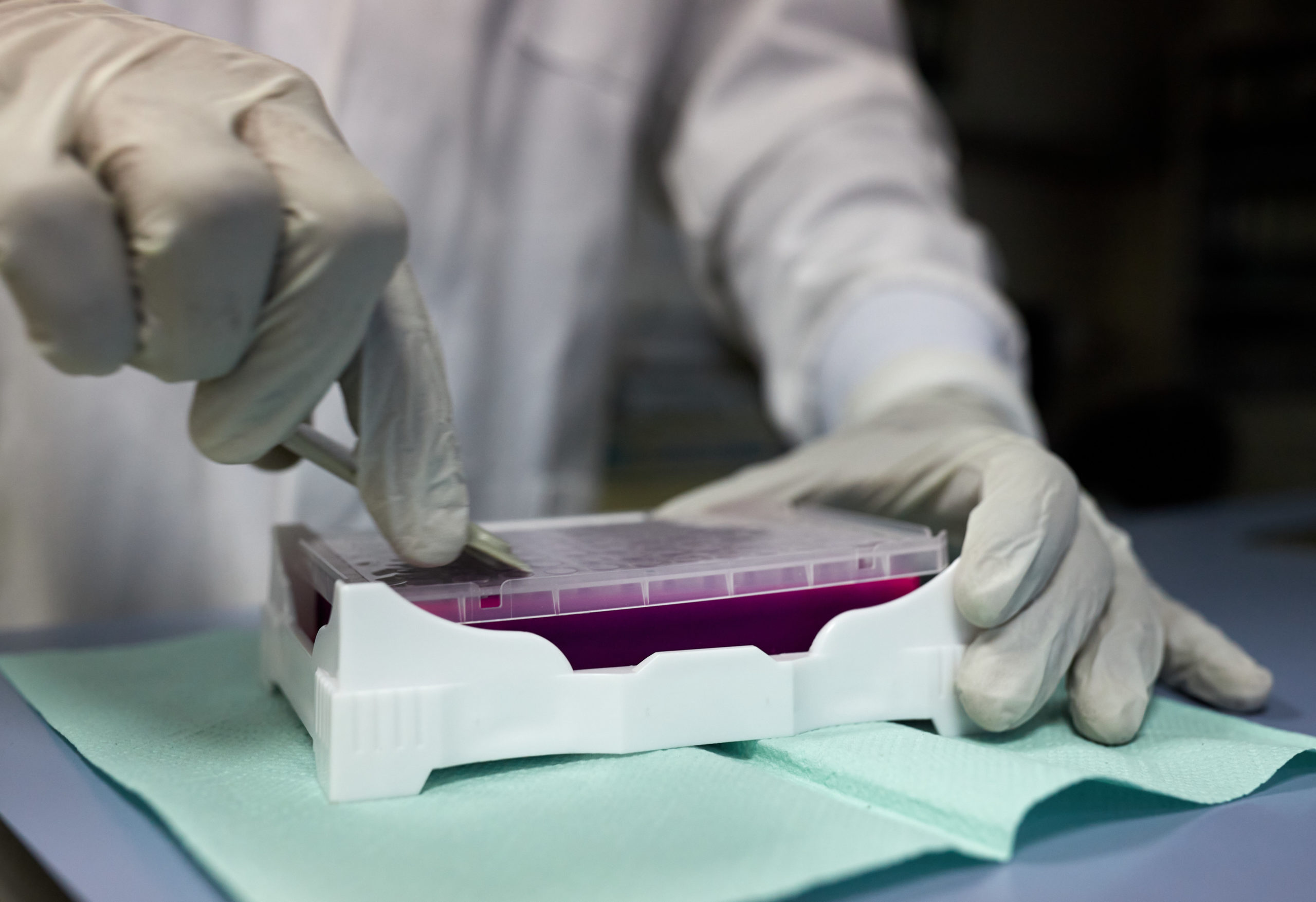 Statement by UN Foundation President and CEO Elizabeth Cousens ...