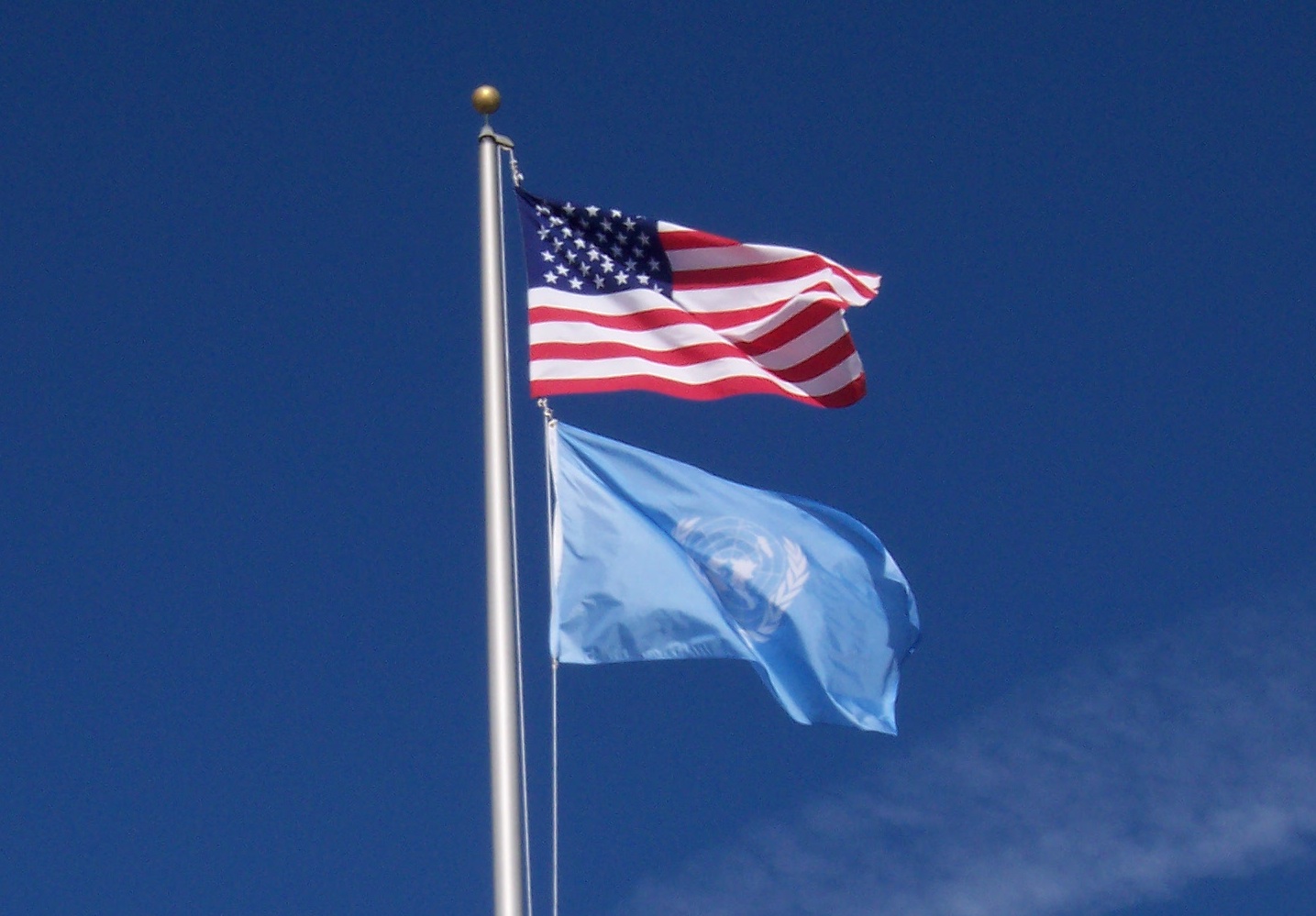 UNA-USA National Council Chair Paula Boland's Statement on the January ...